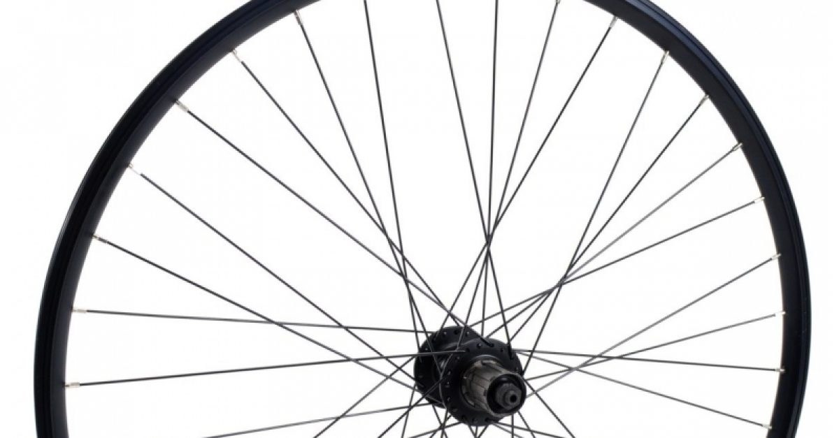 Roue arrière 29" disque 1er prix | Respire